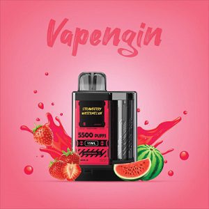 Vapengin Rechargeable Disposable 5500 puff - SUPER VAPE