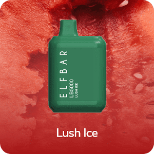 Elf Bar Disposable Pods LB5000 puffs - SUPER VAPE