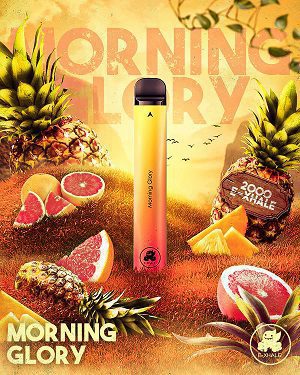 E-Xhale 2000 Puffs - SUPER VAPE - Eat Sleep Vape Repeat